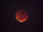 Blood Moon: A Thrilling Sandra Brown Mystery – History Lovers Corner